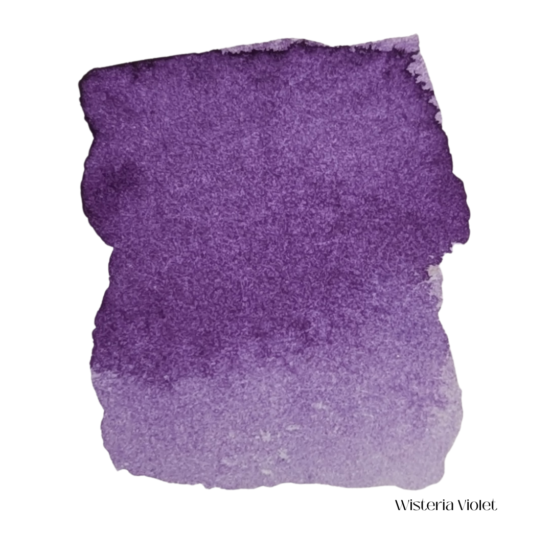 Wisteria Violet – Nicholson's Peerless Watercolors